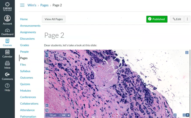 Plugins - Pathomation