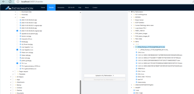 Free desktop viewer – PMA.start - Pathomation